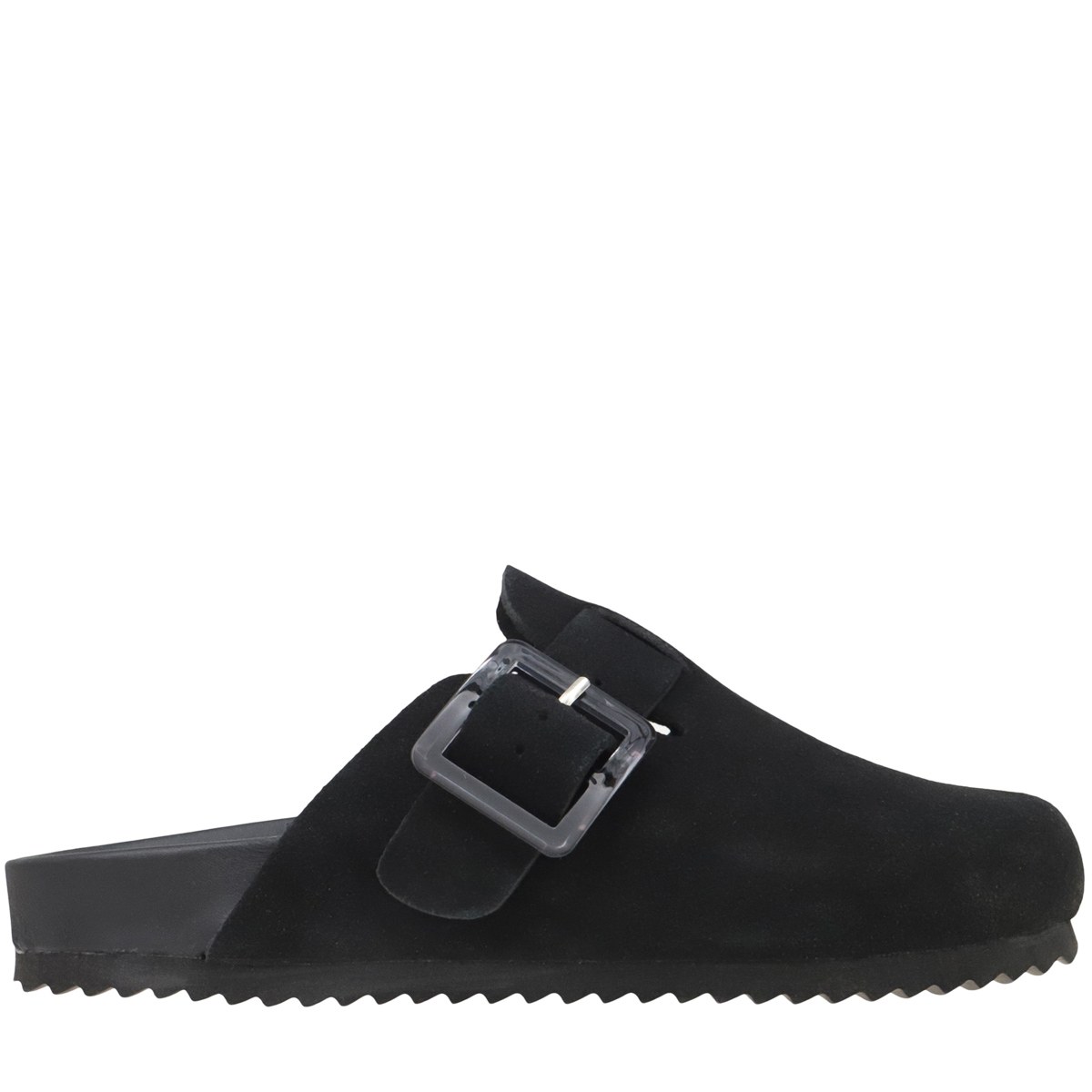 HC.BIO086 MULE COLORS OF CALIFORNIA